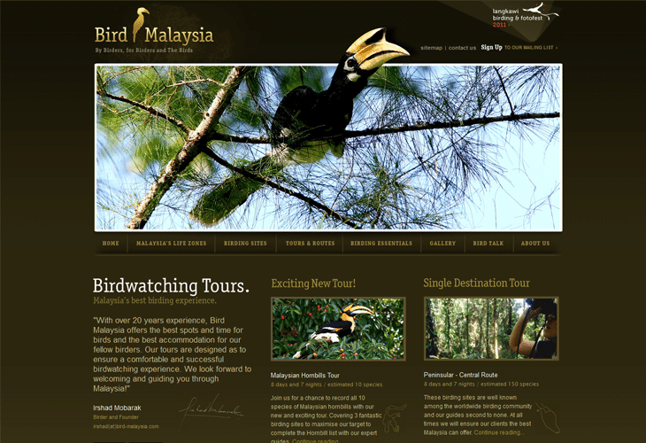 30 Beautiful Designs With Monochromatic Website Designs