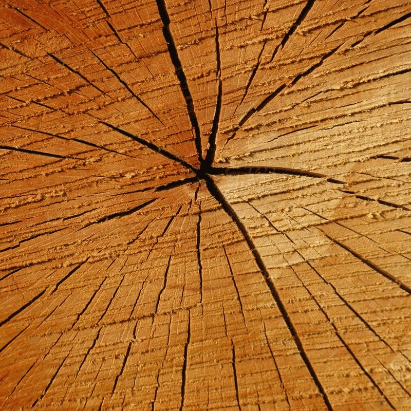 50 High-Quality Free Wood Textures