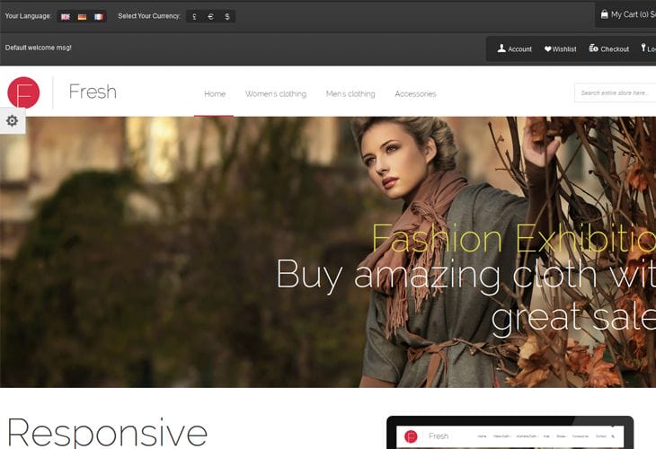 50 Best Responsive Magento Templates