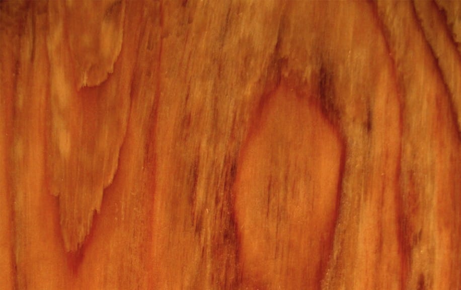 50 High-Quality Free Wood Textures