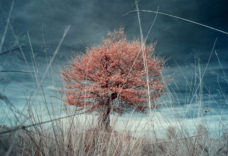 40 Beautiful Collection Of Infrared Photography For Your Inspiration
