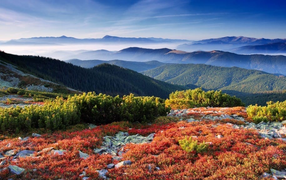 30 Beautiful Examples Of Nature Photography Inspiration