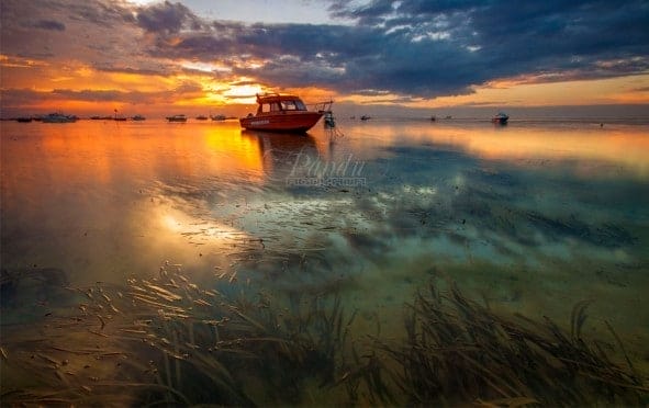 30 Beautiful Examples Of Nature Photography Inspiration