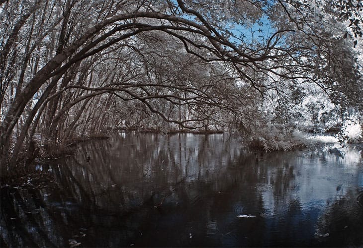 40 Beautiful Collection Of Infrared Photography For Your Inspiration