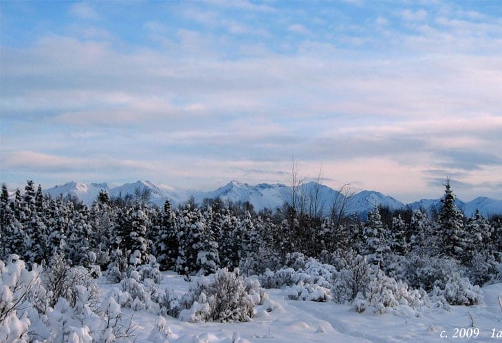 40 Beautiful Free Winter Wallpaper Designs For Inspiration