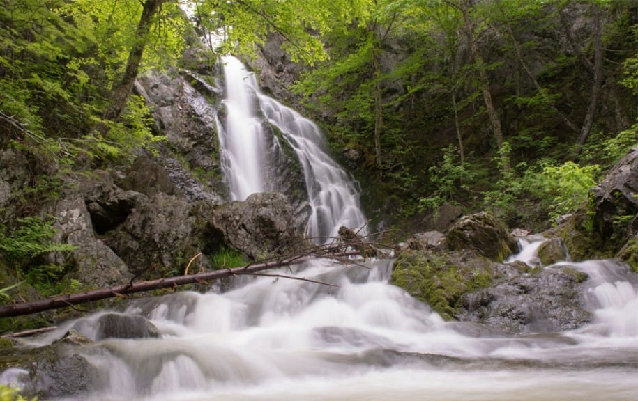 30 Beautiful Examples Of Nature Photography Inspiration