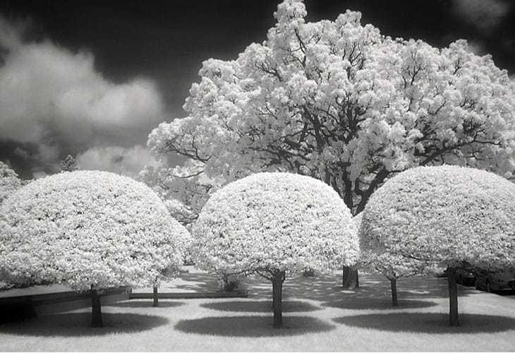 40 Beautiful Collection Of Infrared Photography For Your Inspiration