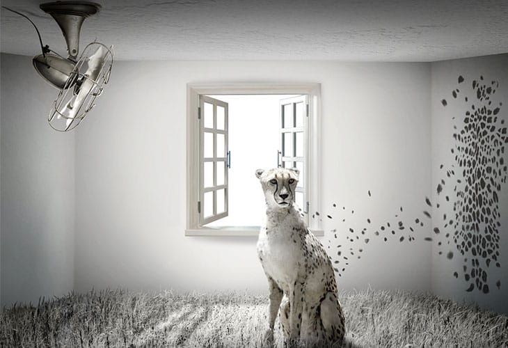 30 Best Examples Of Surreal Photo Manipulation Artworks