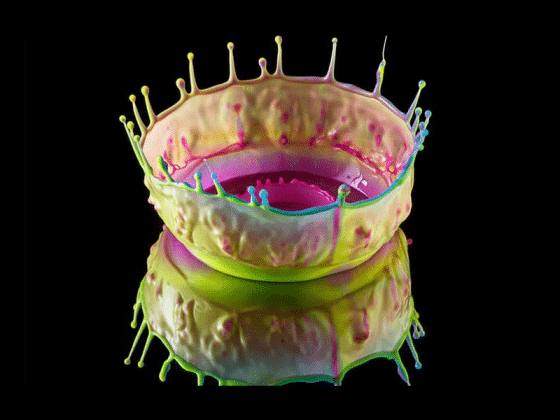 Free Top View Curved A3 Poster Mockup PSD