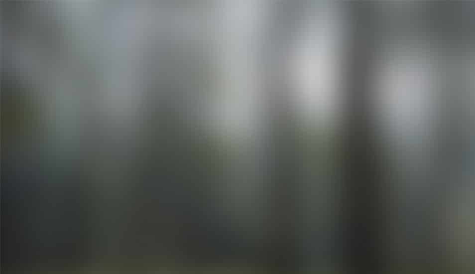A Bundle Of 30 Beautiful Blurred Backgrounds - Freebie No: 111