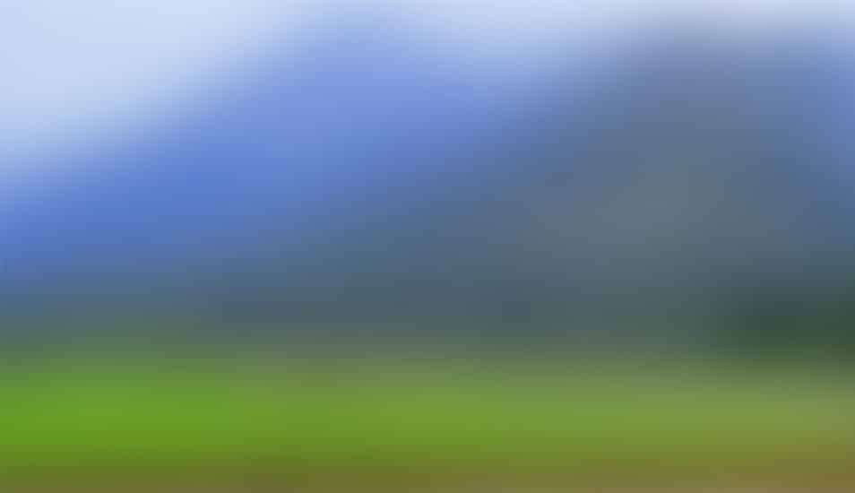 A Bundle Of 30 Beautiful Blurred Backgrounds - Freebie No: 111