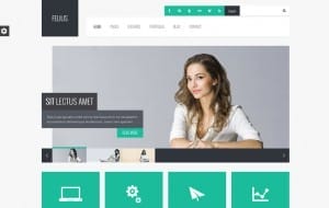 100+ Responsive Flat Style Wordpress Themes « Latest Collection