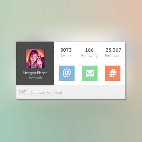 100 + Web Widget Designs PSD - CSS Author