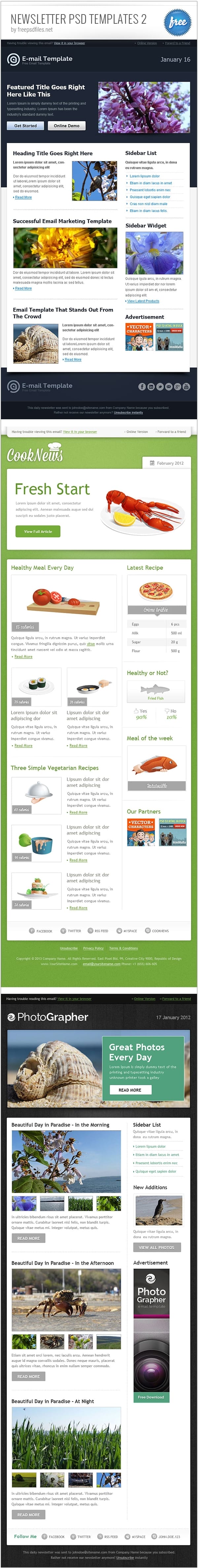Free Email Newsletter Templates PSD » CSS Author