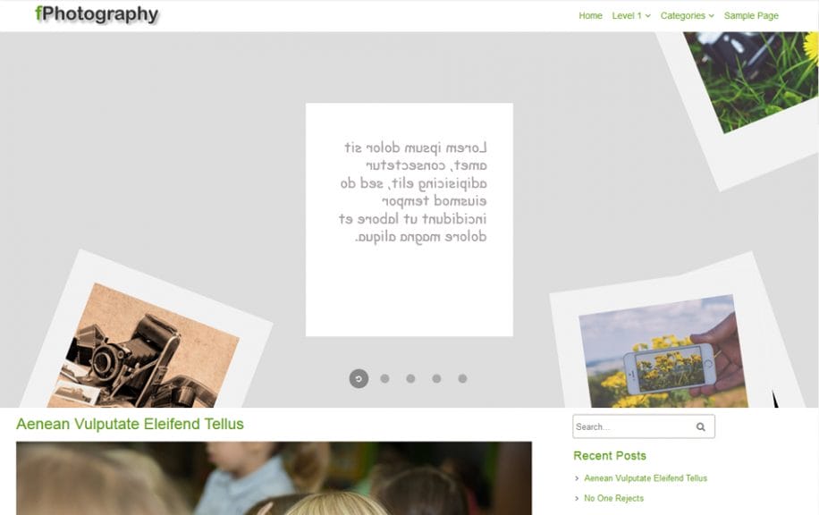 100+ Free Photography WordPress Themes 2024