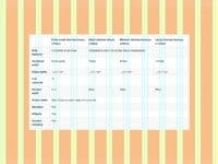 25+ Bootstrap Grid System PSD Templates » CSS Author