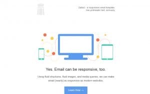 60+ Responsive HTML Email Newsletter Templates » CSS Author