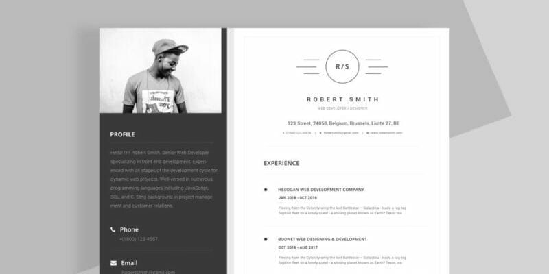 Ultimate Collection Of Free Resume Templates » CSS Author