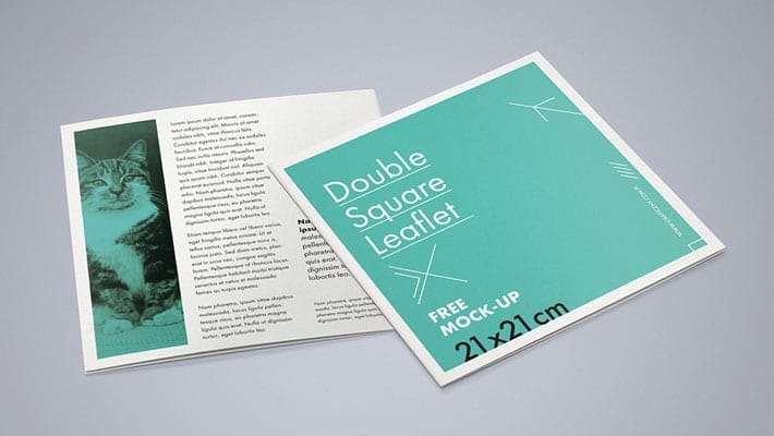 Double Square Leaflet Mockup » CSS Author