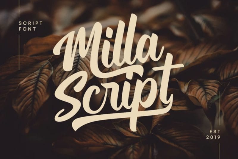 Free Calligraphy Fonts » CSS Author