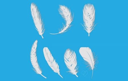 The Huge Collection Of Photoshop Custom Shapes For Beautiful Designs