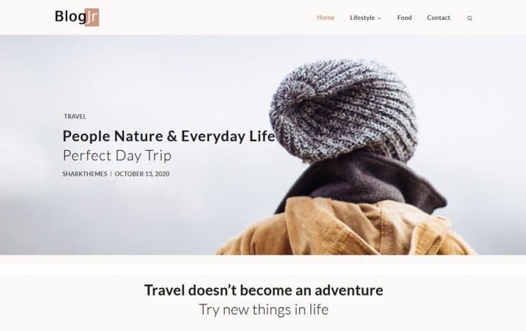 50+ Popular Free Personal Blog WordPress Themes 2024 » CSS Author