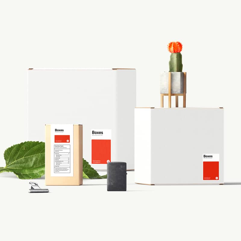 Free Beautiful Boxes Mockup Scene » CSS Author