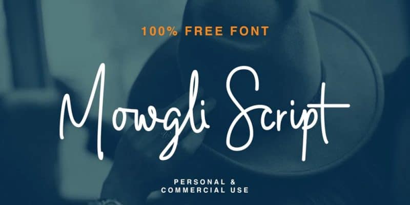 250 + Free Script Fonts For Designers » CSS Author