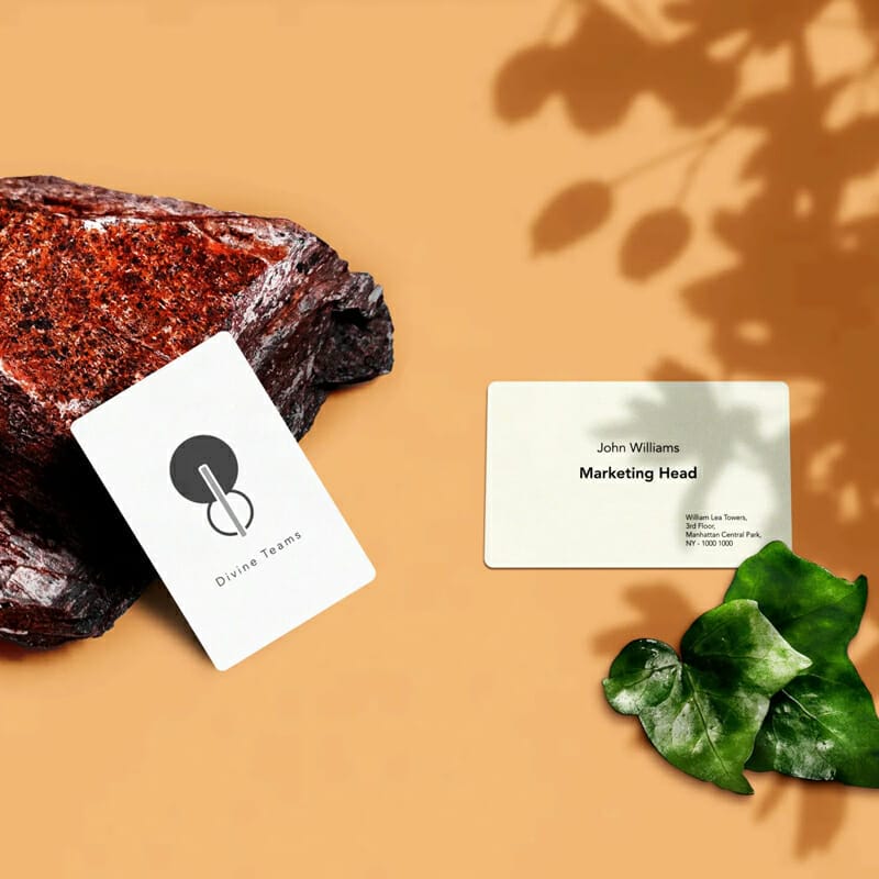 Organic Business Card Mockup » CSS Author