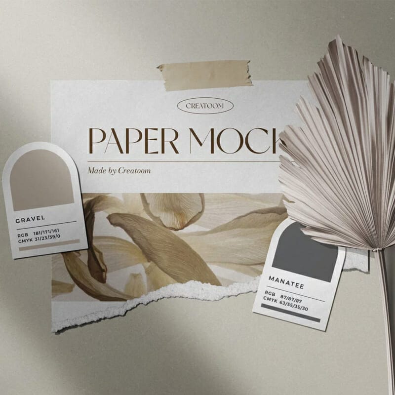 Free Moodboard Paper Color Pallete Mockup With Dry Palm Branch » CSS Author