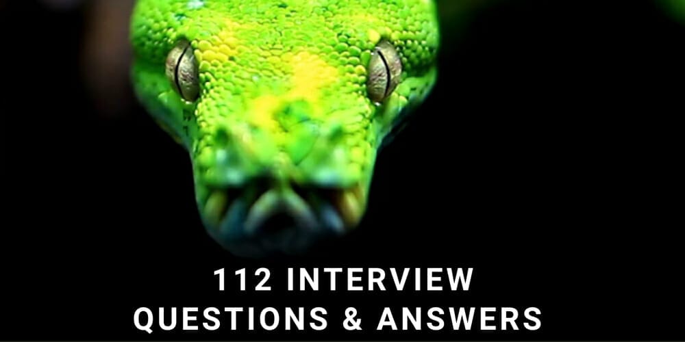 Discover The Best Places To Learn Python