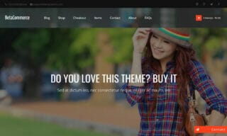 15+ Best Free Ecommerce Blogger Templates » CSS Author