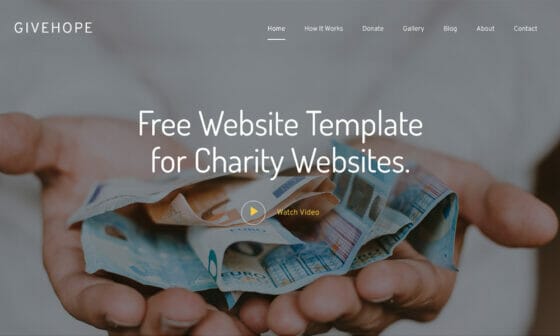 12+ Best Free NGO Website Templates 2025