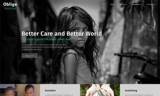 12+ Best Free NGO Website Templates 2024
