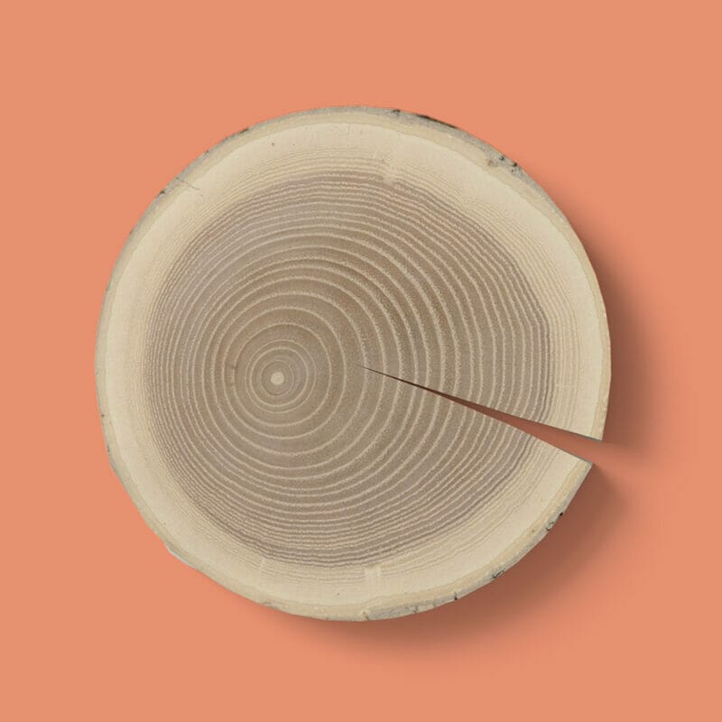 Free Top View Log Mockup » CSS Author