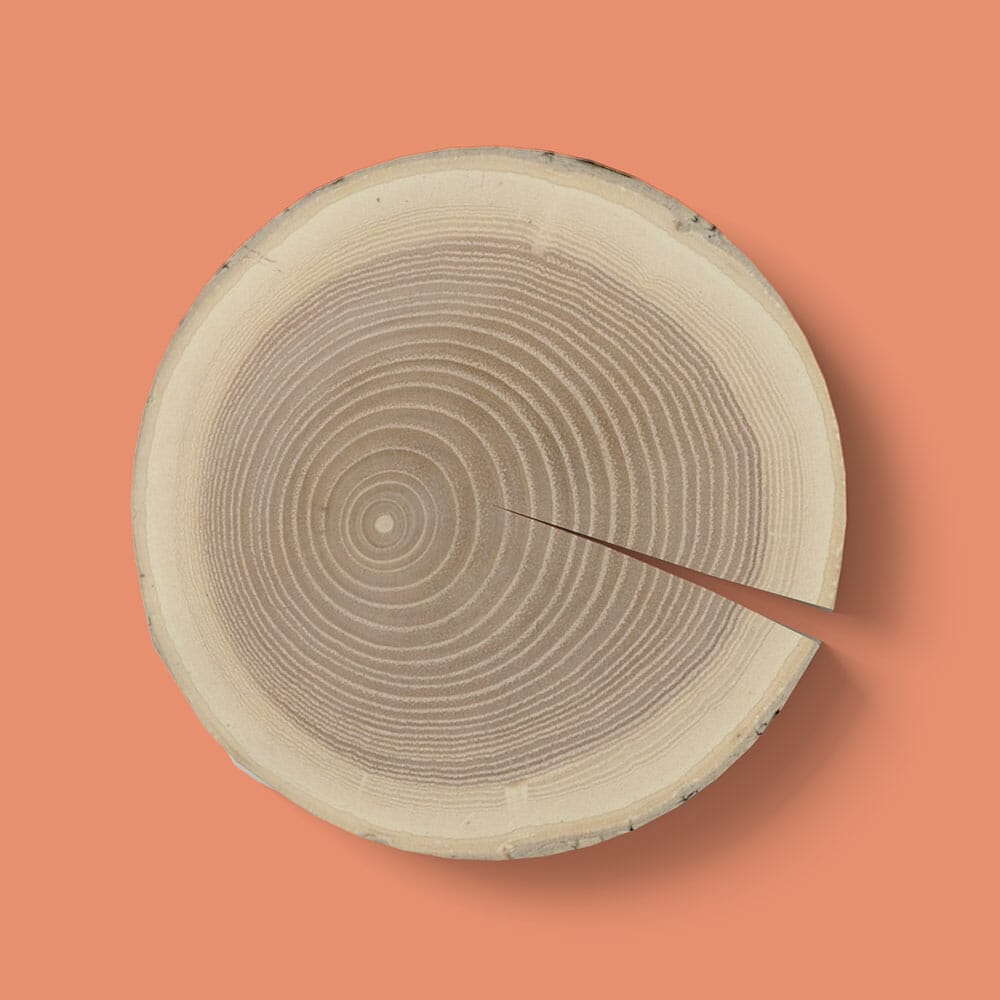 Free Top View Log Mockup » CSS Author