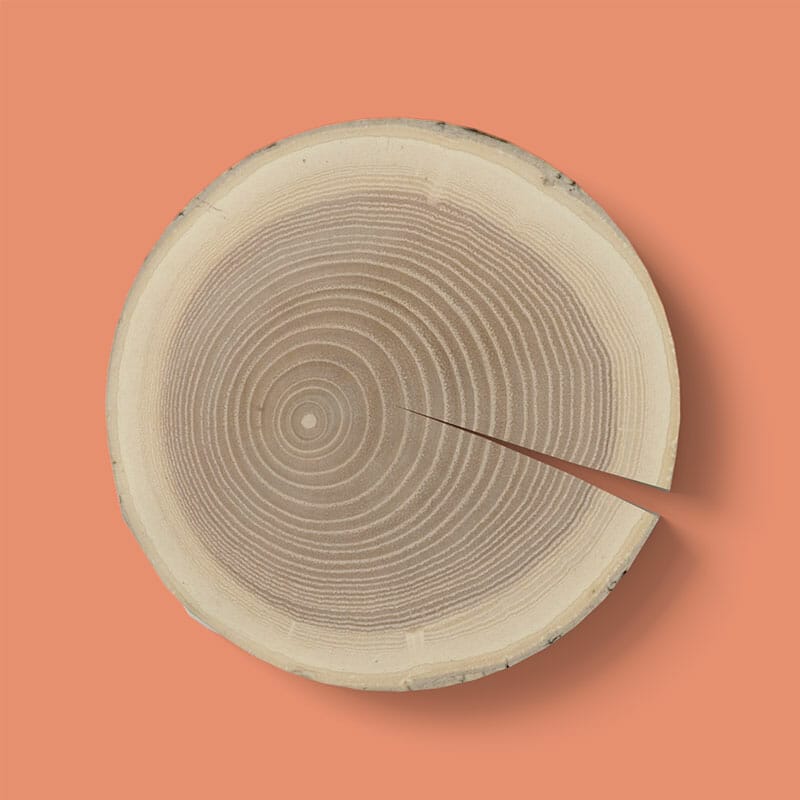 Free Top View Log Mockup » CSS Author