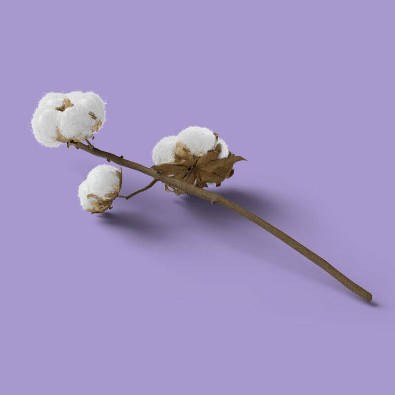 Free Cotton Mockup Isometric » CSS Author