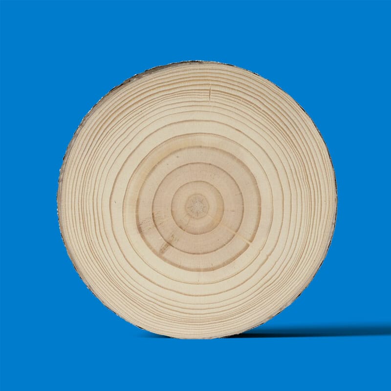 Free Front View Log Mockup » CSS Author