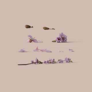 Free Heather Mockup Front View » CSS Author