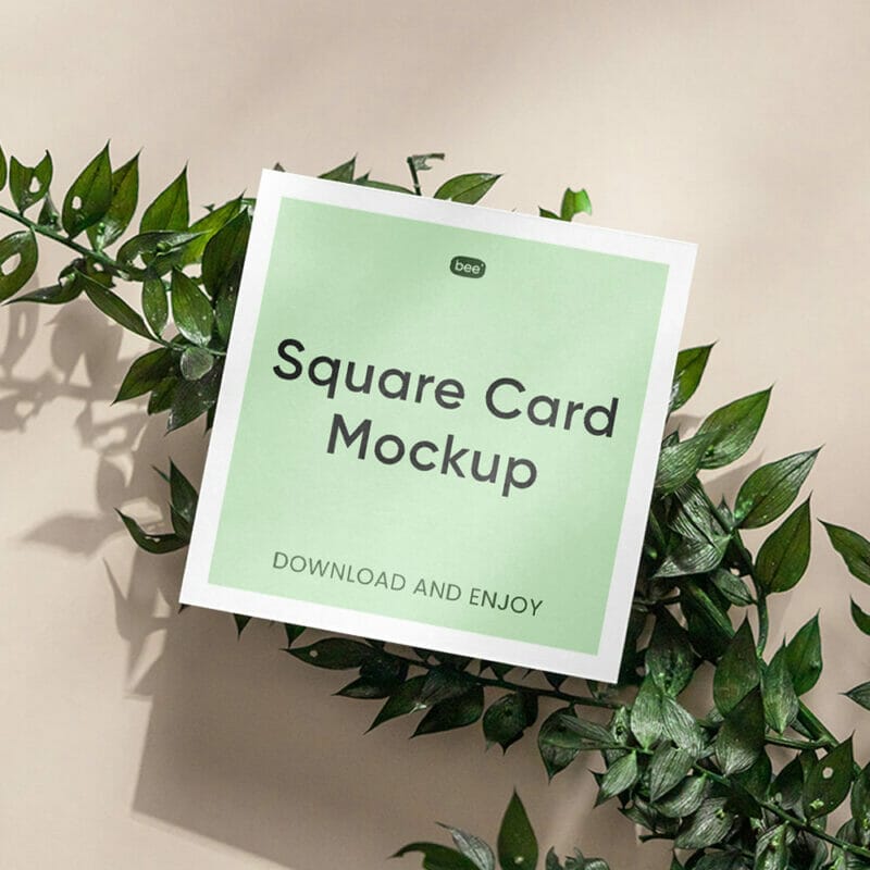 Free Square Card On Plant Mockup » CSS Author