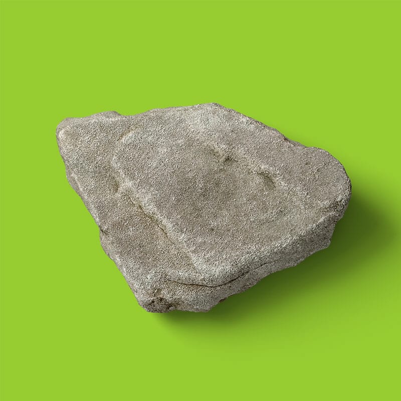 Free Stone Mockup PSD » CSS Author