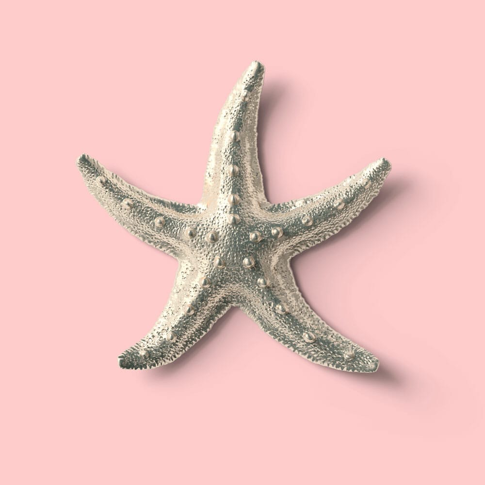 Free Top View Starfish Mockup PSD » CSS Author