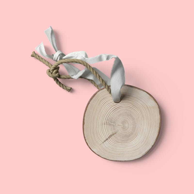 Free Top View Tree Cut On Rope Mockup PSD » CSS Author