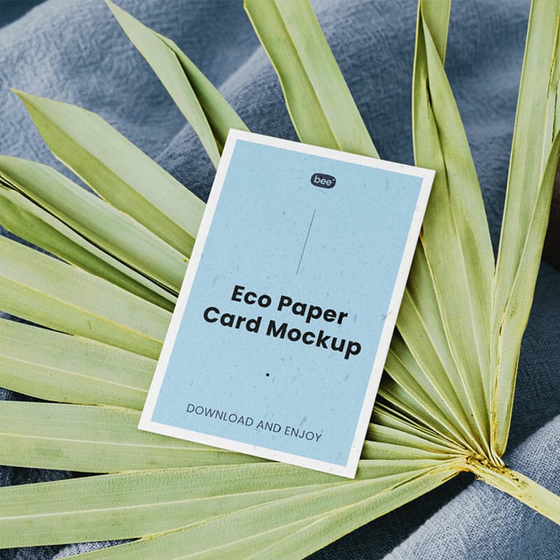 Free Eco Card On Leaf Mockup PSD » CSS Author