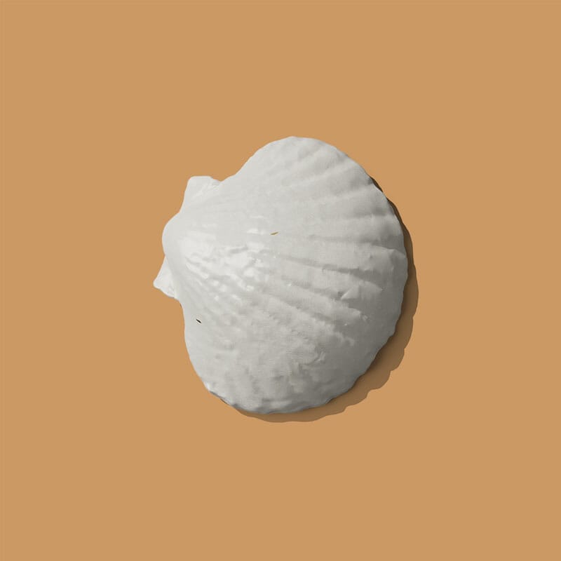 Free Shell Front View Mockup PSD » CSS Author