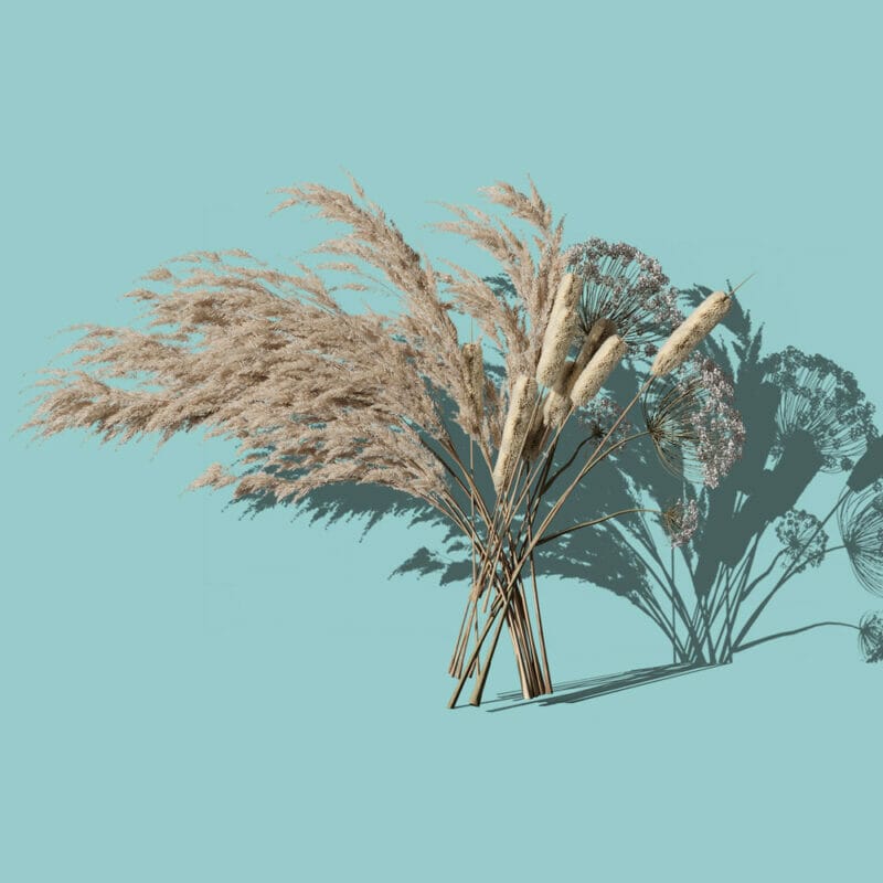 Free Decorative Plant Front View Mockup PSD » CSS Author