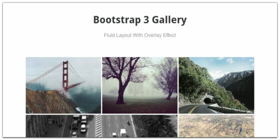 Bootstrap 5 Gallery Examples & Freebies » CSS Author