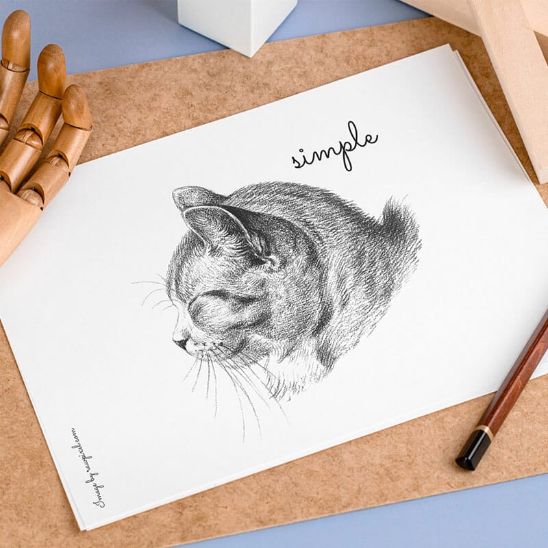 Free Drawing Mockup PSD » CSS Author