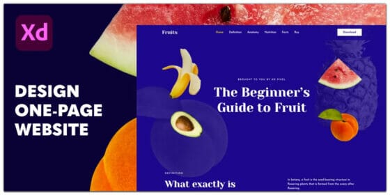 30+ Adobe XD Design Tutorials That Will Astound You